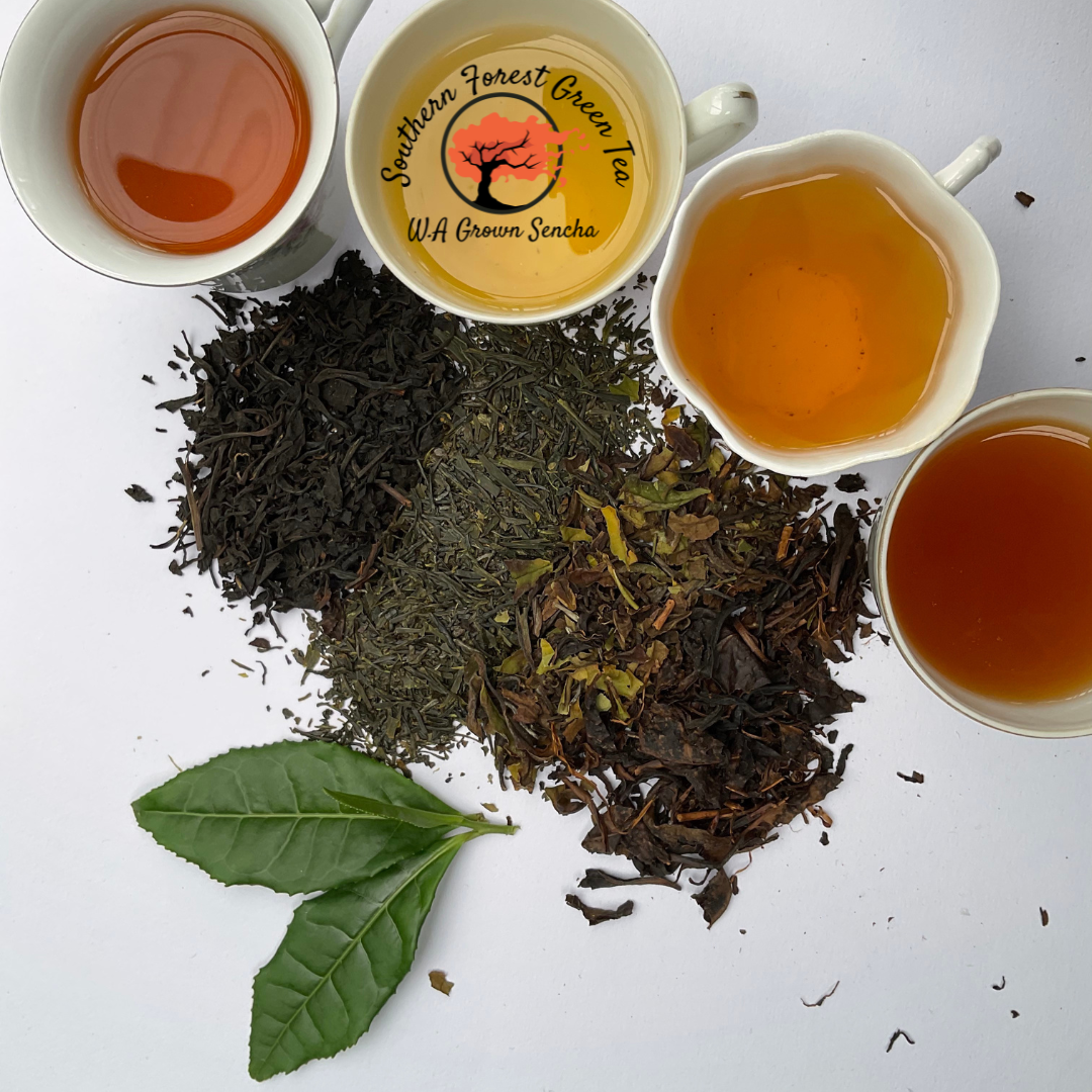 Loose Leaf Tea – Southern Forest Green Tea