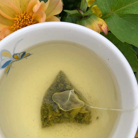 Southern Forest Green Tea