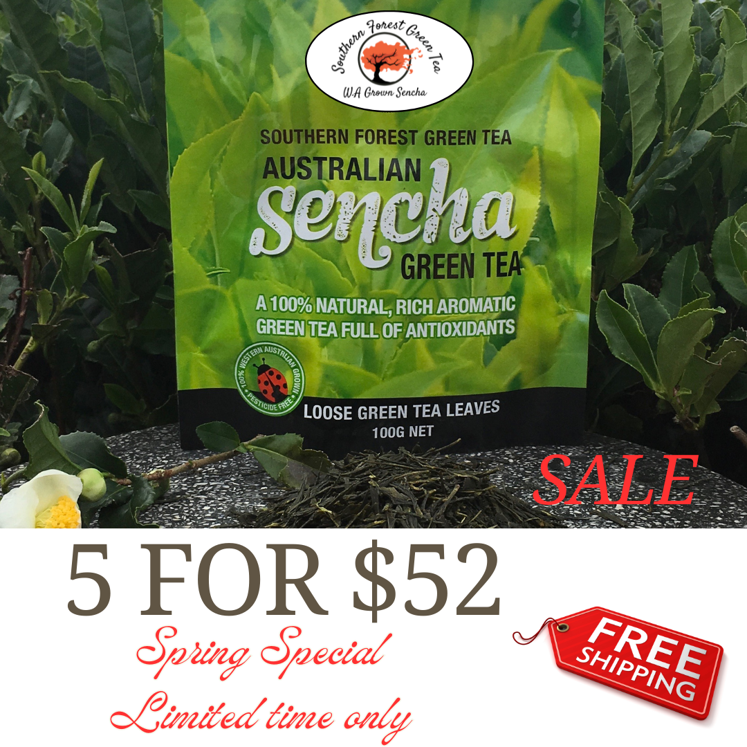 Southern Forest Green Tea